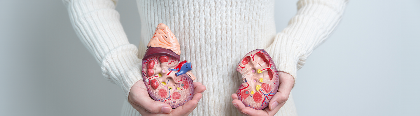 Kidney Stone Prevention | Hannibal Regional