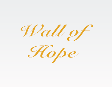 Campaigns & Initiatives | Hannibal Foundation